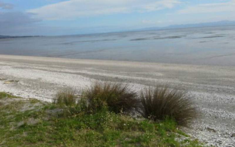 Rays Rest Reserve | Freedom/Basic Camp | New Zealand